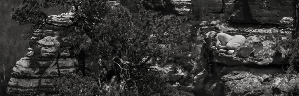 BaumAkte 2023 – THOMAS BICHLER – visual poetry